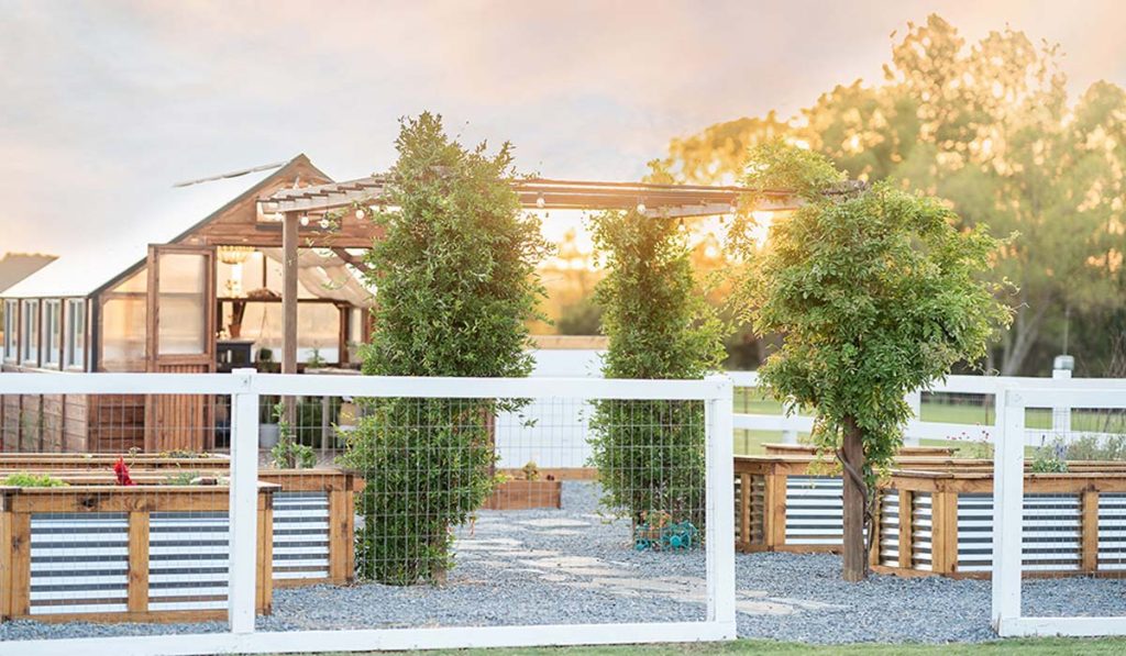 Ogie Farms: Finding Healing and Hope | Yoderbilt Greenhouses